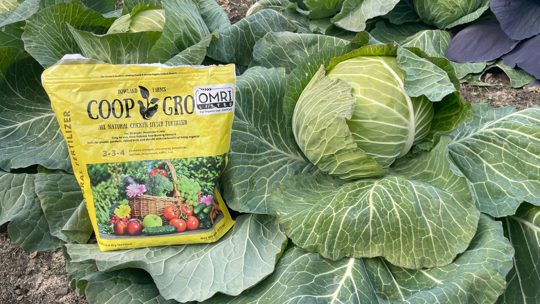 Coop Gro Fertilizer | Available in 6 lb, 12 lb, and 25 lb Bag Options