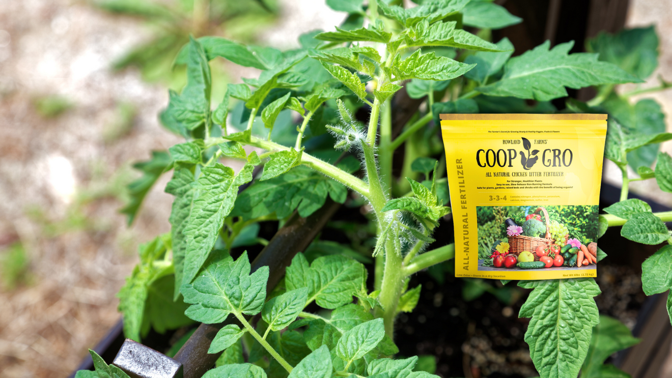 Coop Gro Fertilizer | All-Natural, Organic Fertilizer to Feed Plants
